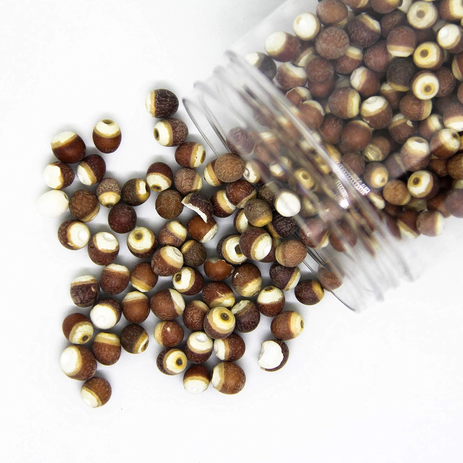 Amazon.com : Big Green Organic Food- Organic Dried Gorgon Fruit, Loose ...