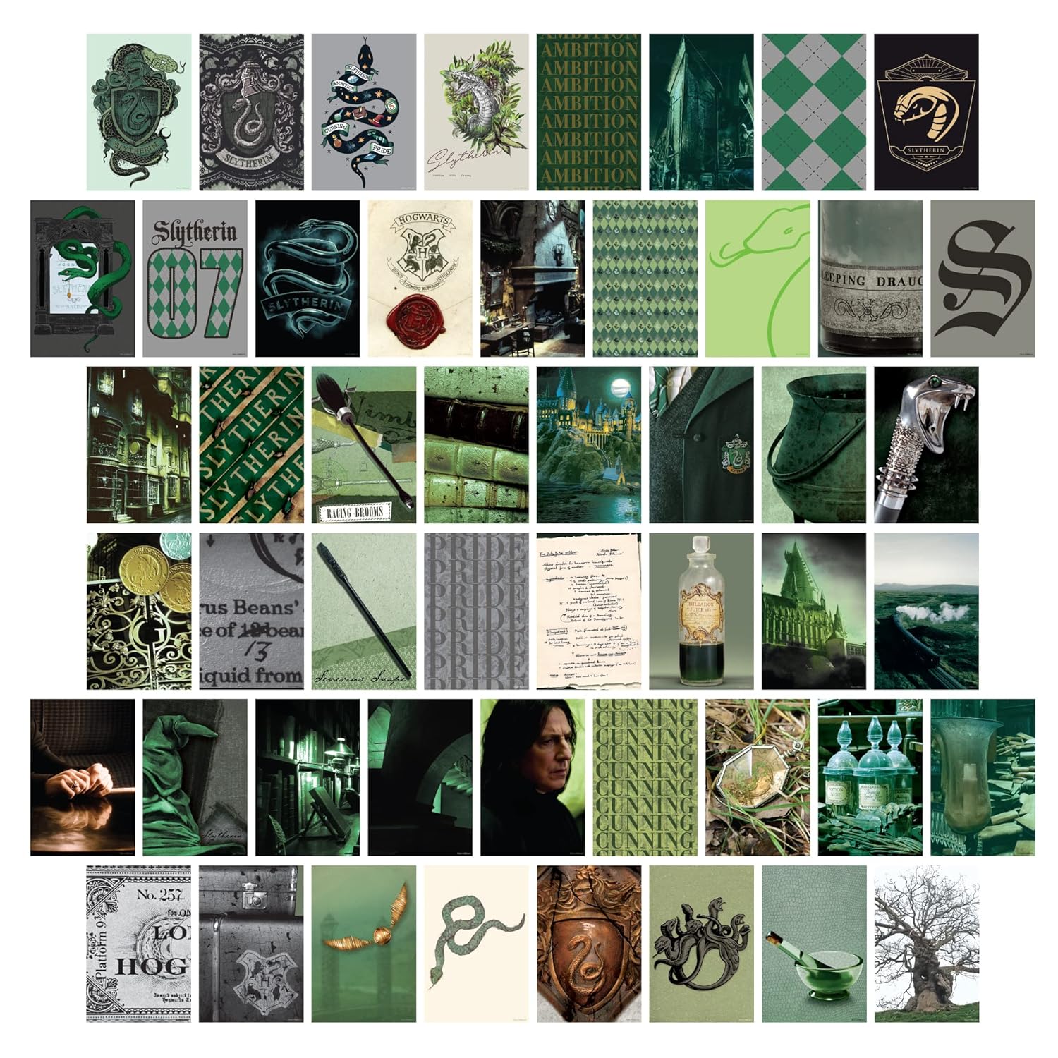 Conquest Journals Harry Potter Slytherin Wall Collage, 50 Unique 4x6 ...