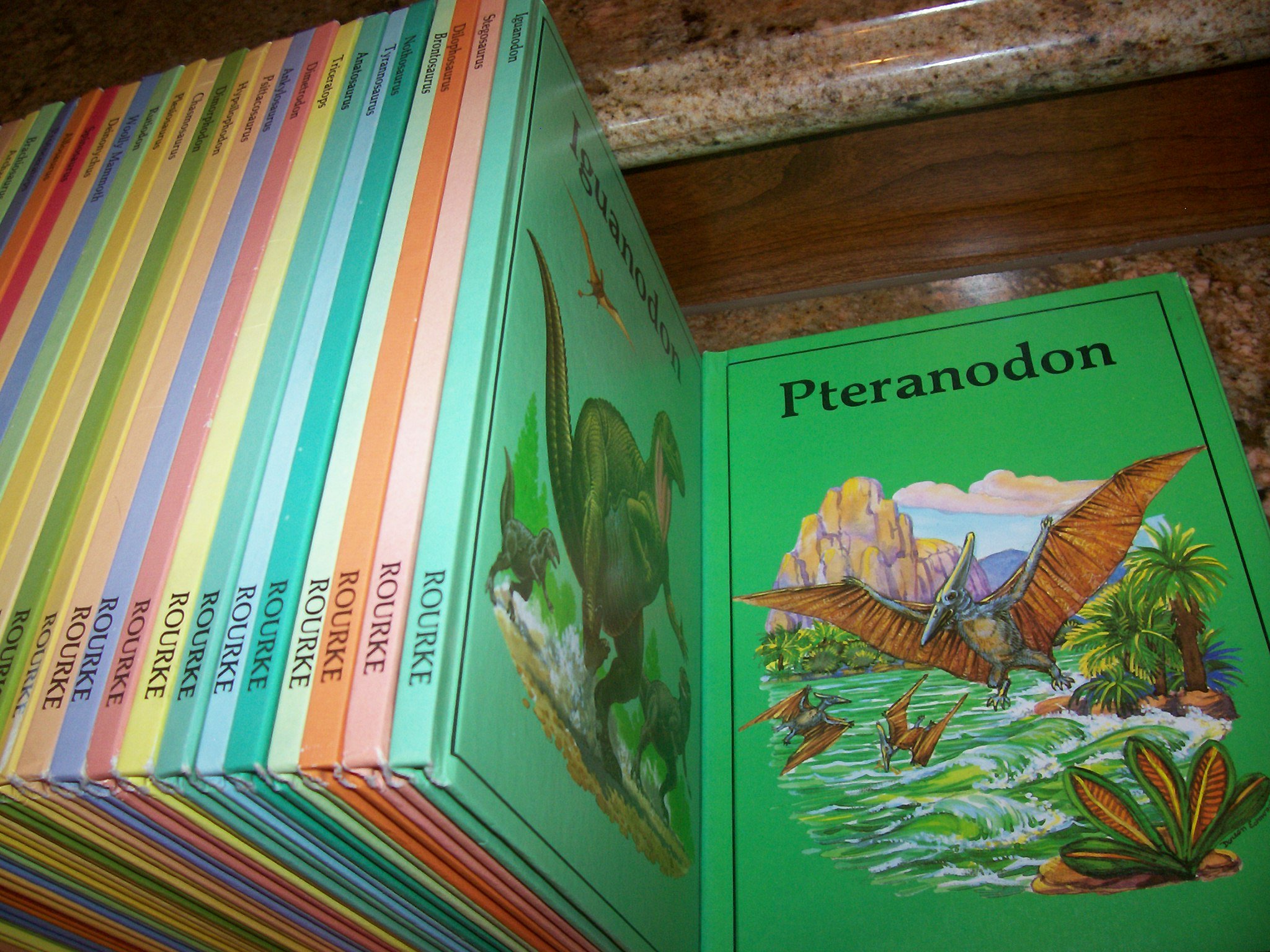 Brontosaurus (Dinosaur Lib Series): Sheehan, Angela: 9780865921115 ...