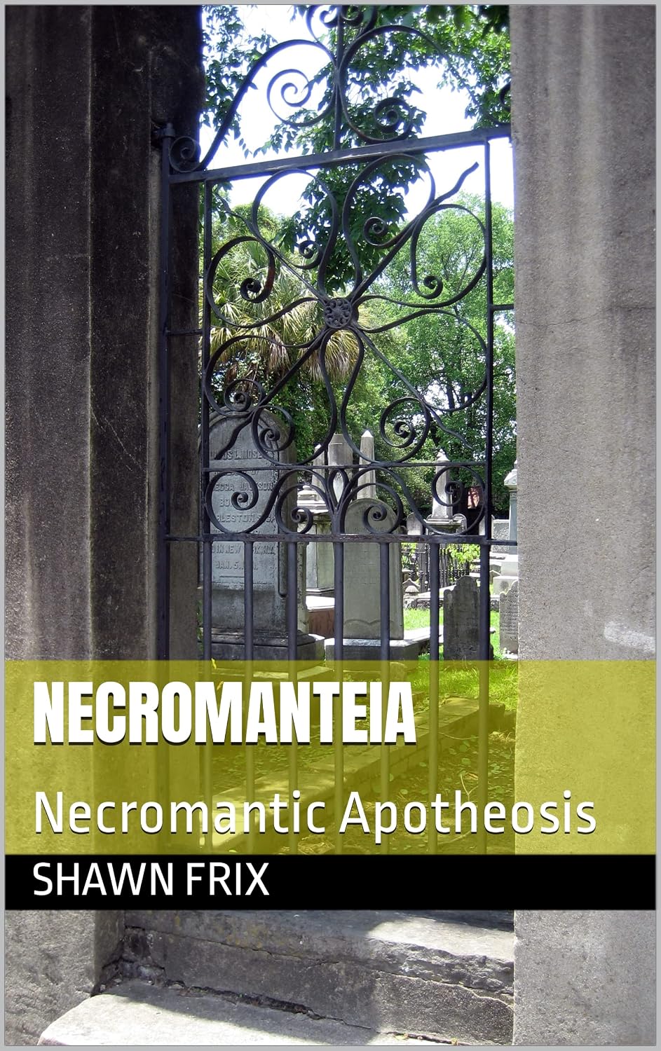 Amazon.com: NECROMANTEIA: Necromantic Apotheosis eBook : Frix, Shawn ...