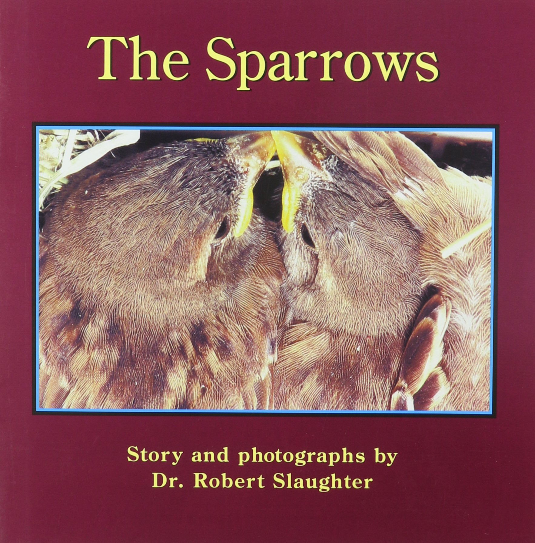 Amazon | The Sparrows (Books for Young Learners) | Birds & Birdwatching