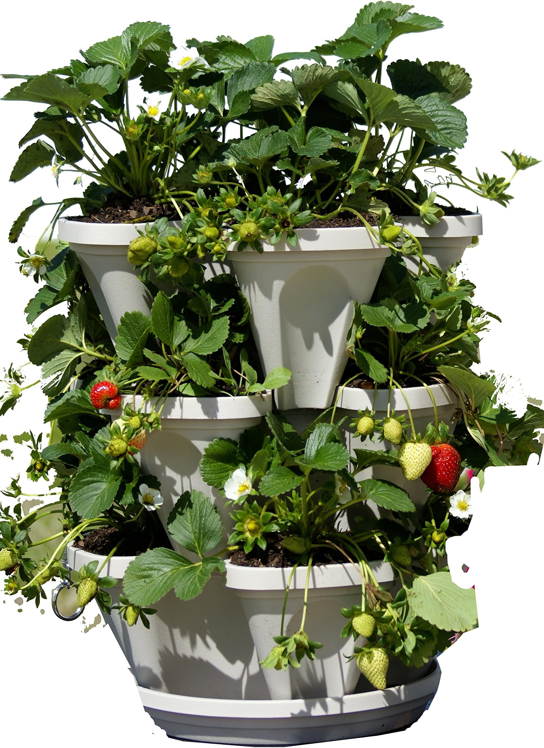 Amazon.com: 3 Tier Stackable Garden - Indoor / Outdoor Vertical Planter ...