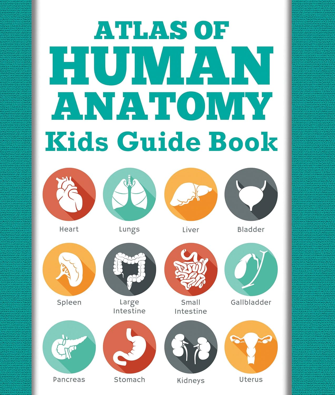 Amazon.com: Atlas Of Human Anatomy: Kids Guide Book: Body Parts for ...