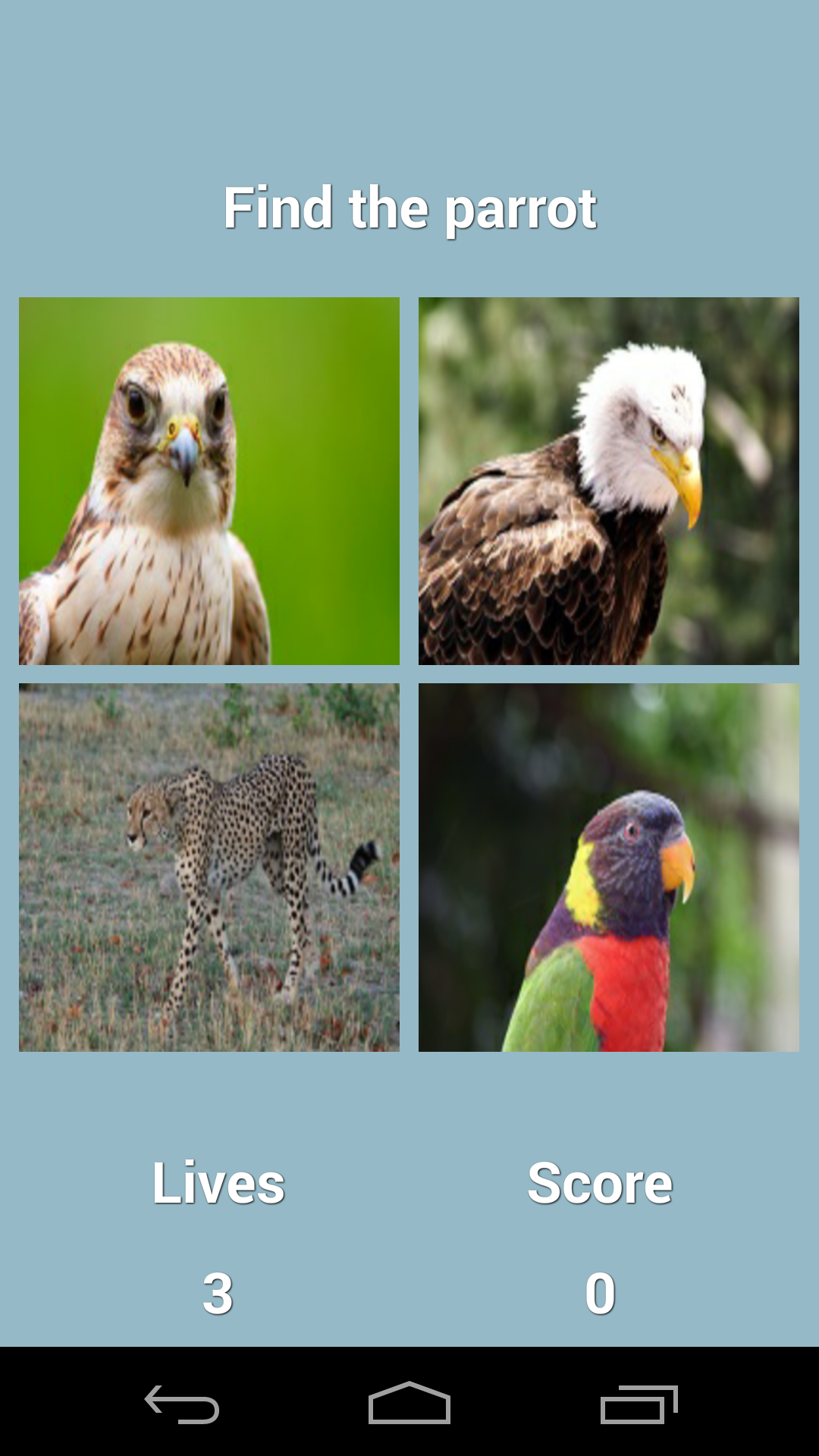 Kids Learn Animal species free - App on Amazon Appstore