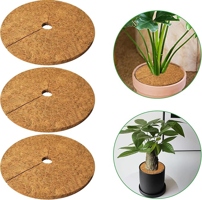 Amazon.com : HFHOME 3pcs 30" Dia Coconut Fibers Tree Mulch Ring ...