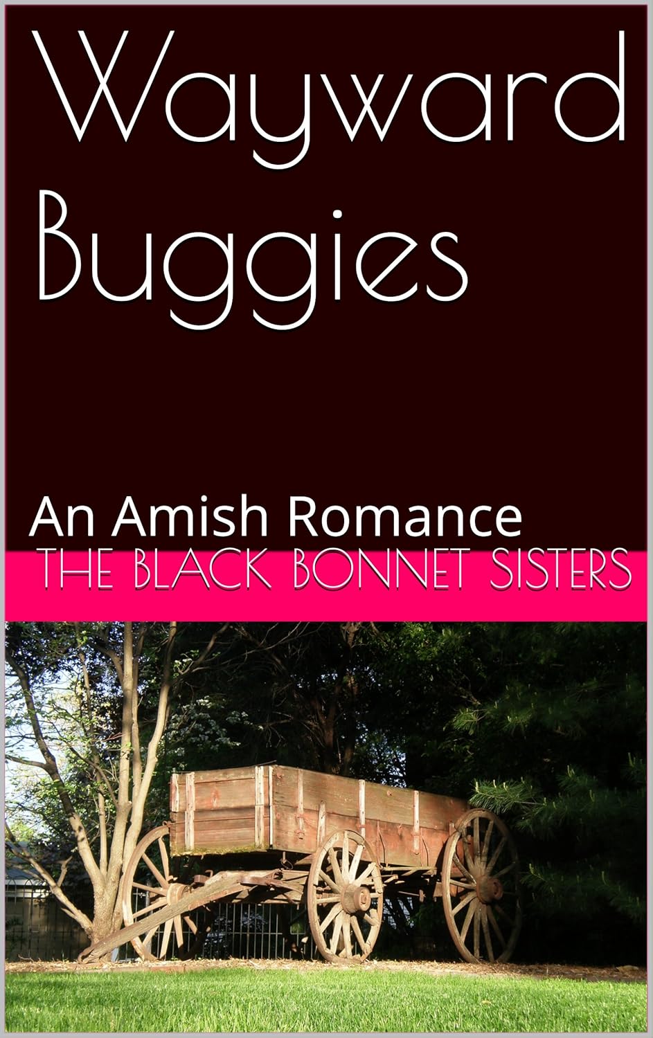 Wayward Buggies: An Amish Romance - Kindle edition by The Black Bonnet ...