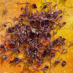 Edible Freeze Dried Micro Red Amaranth Leaves - 400ml - UK Grown ...