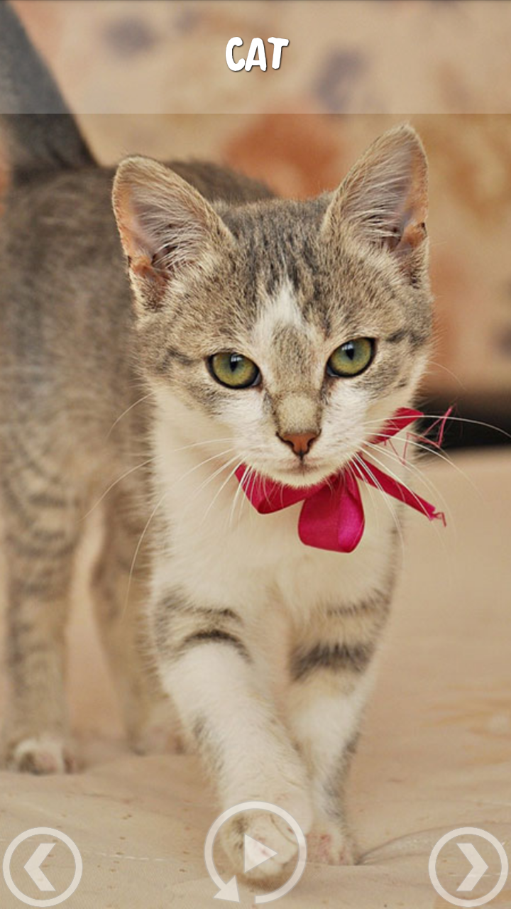 Animal Sounds for Kids - App on Amazon Appstore