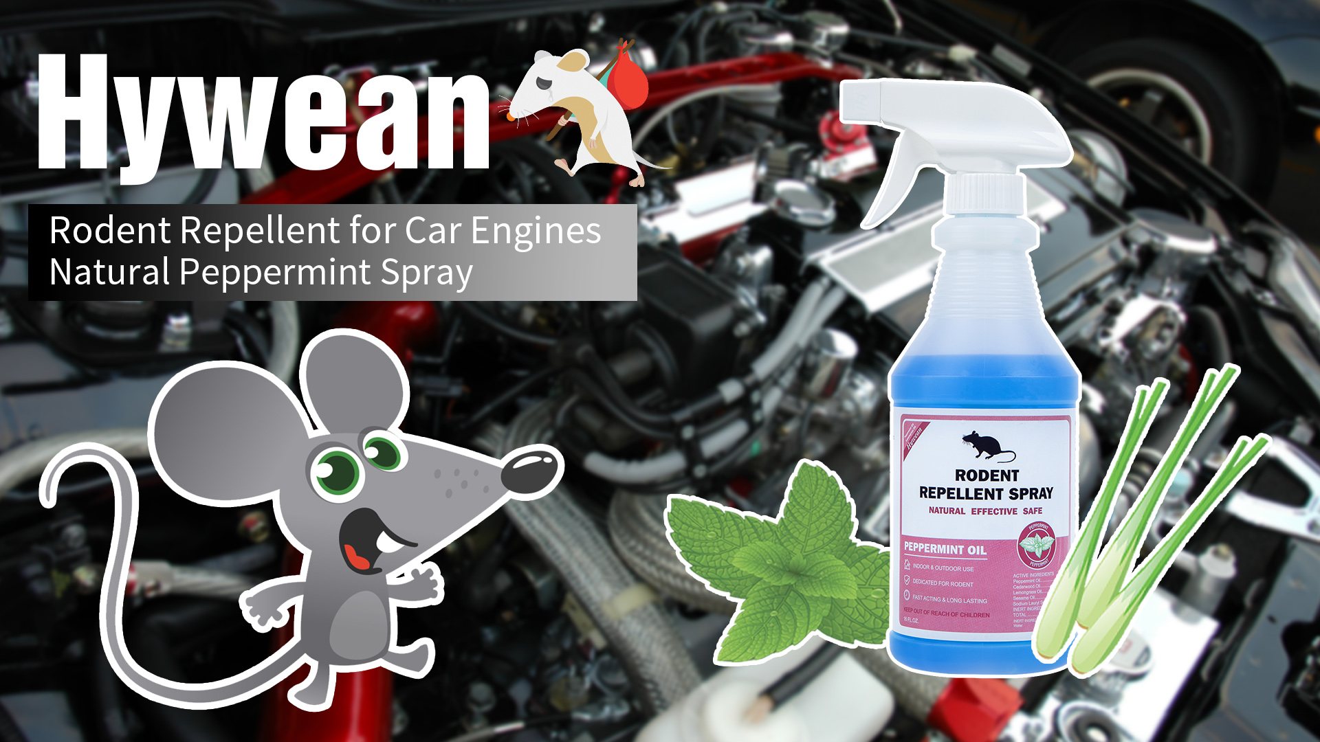 Watch Natural Peppermint Rodent Repellent for Car Engines Spray on ...
