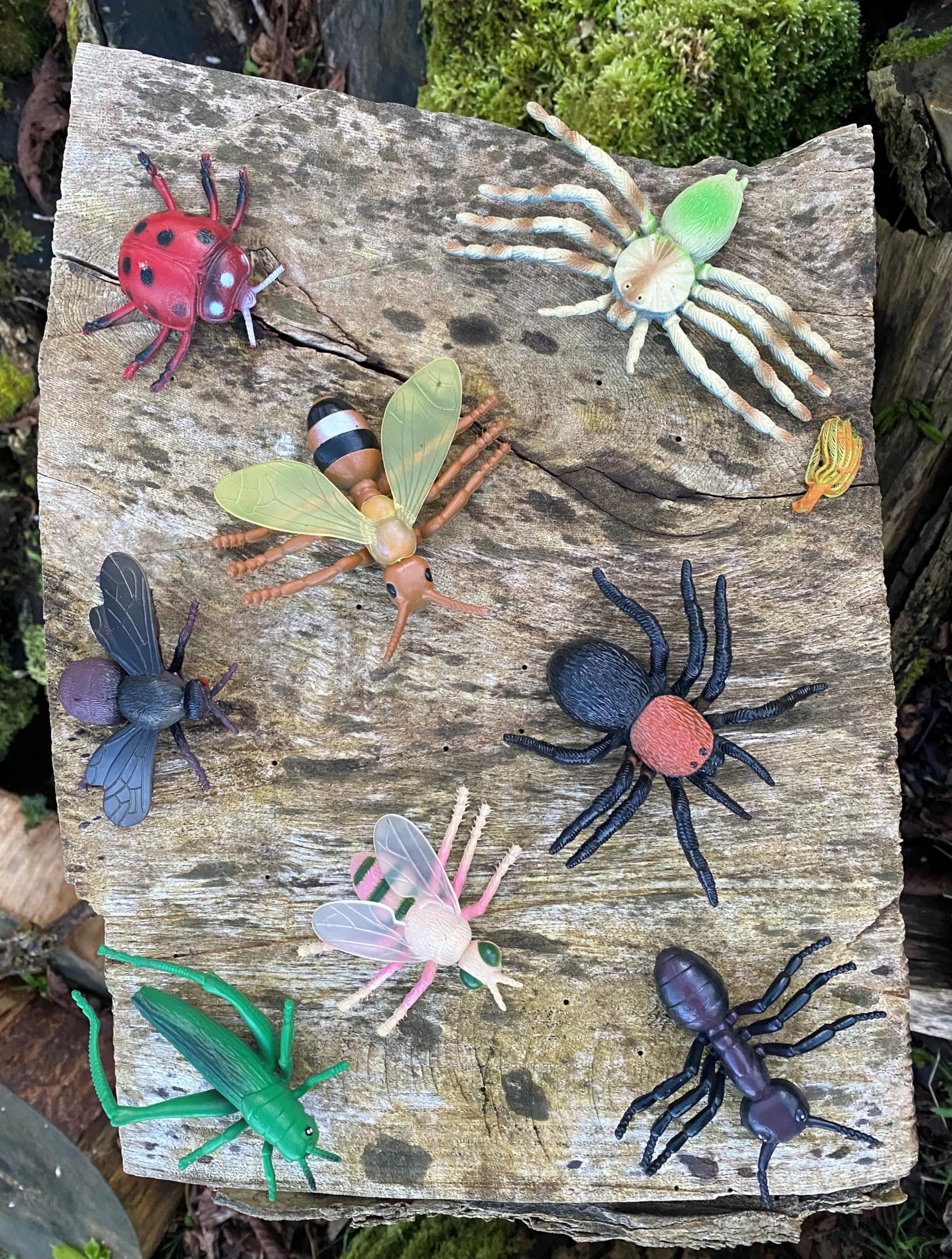 Insect Toys SIENON Realistic - 12Pcs Large Plastic Bugs Figures Set For ...