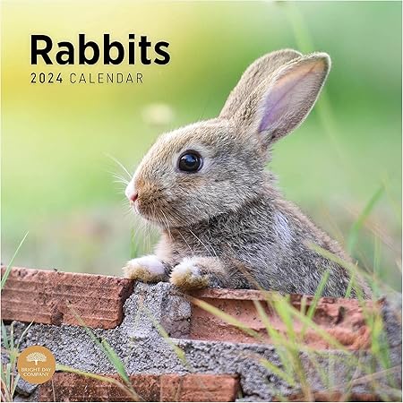 2024 Rabbits Monthly Wall Calendar by Bright Day, 12 x 12 Inch Cute ...