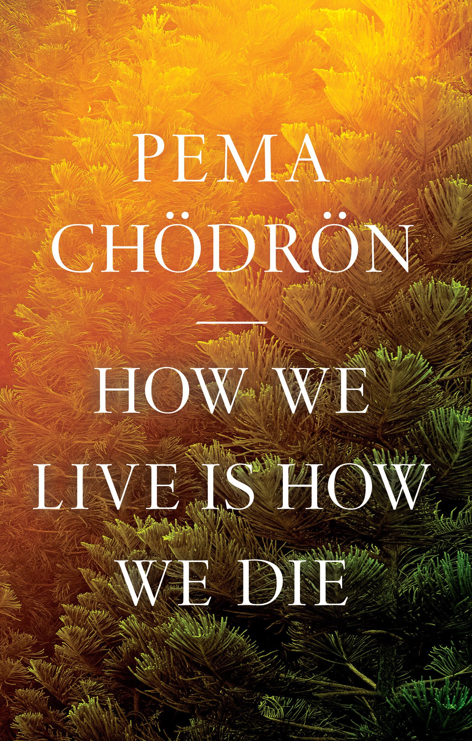 Amazon.com: How We Live Is How We Die: 9781645472407: Chodron, Pema: Books