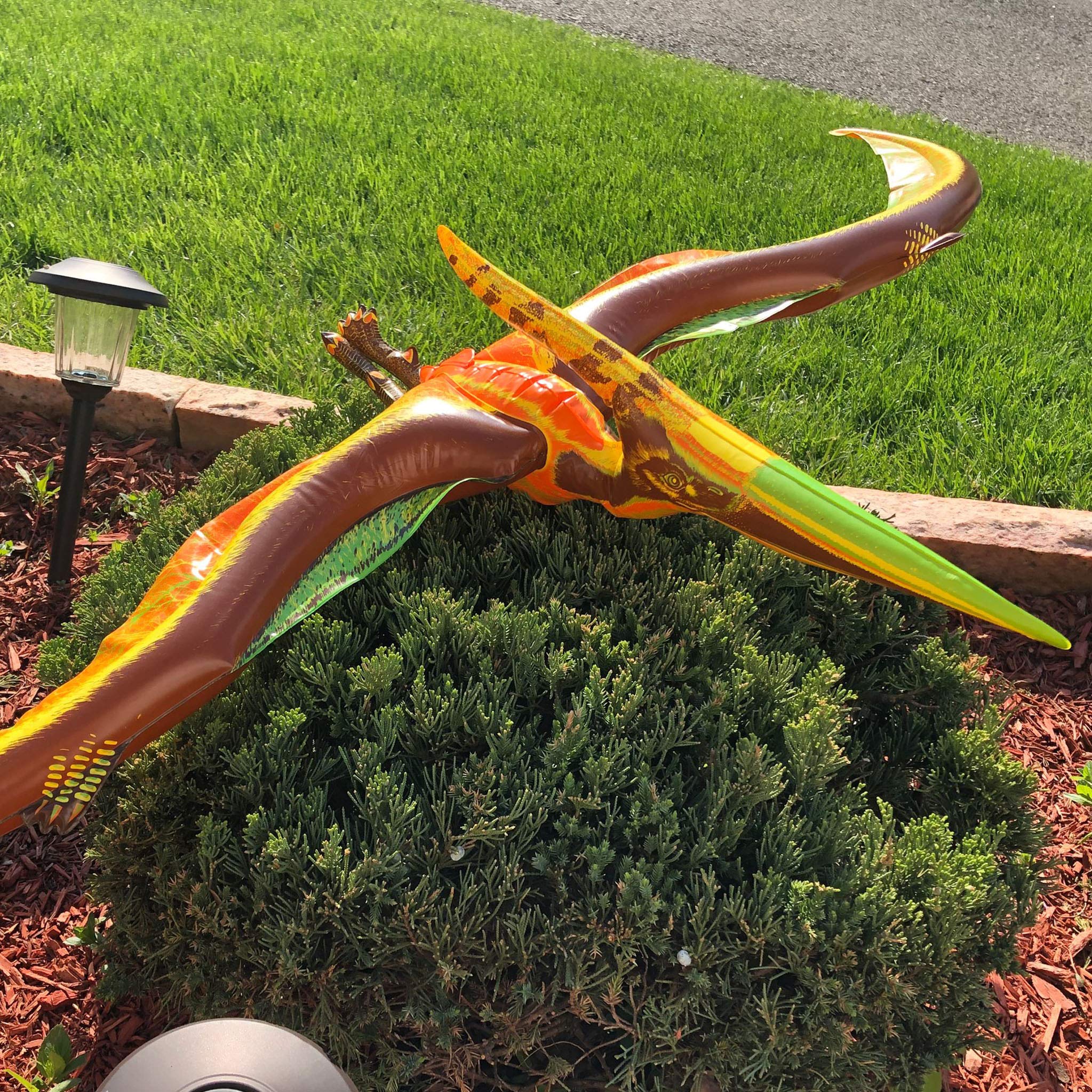 Snapklik.com : Jet Creations 57" Pteranodon Inflatable Dinosaur Toy For ...