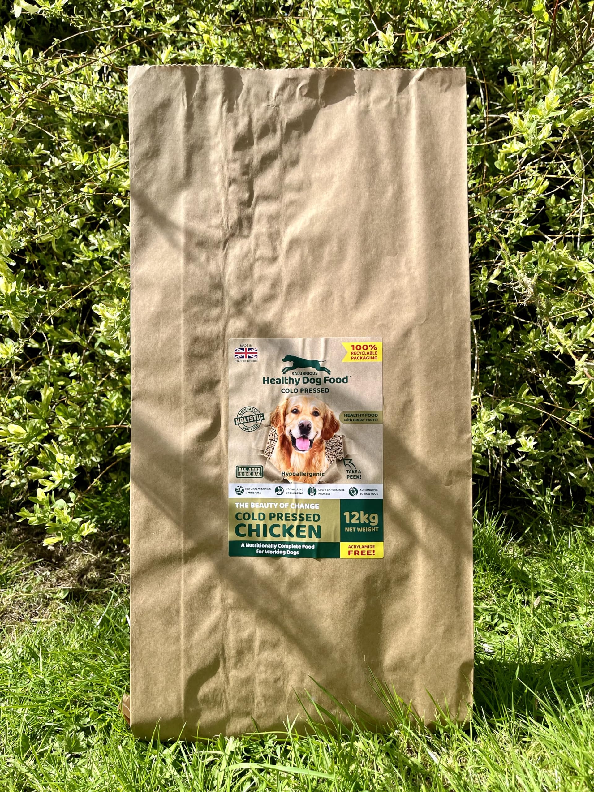 Chicken With Grain Cold Pressed Dog Food 12kg Salubrious Healthy ...