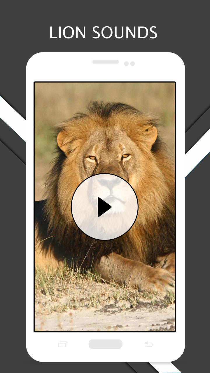 Lion Sounds And Ringtones - App on Amazon Appstore