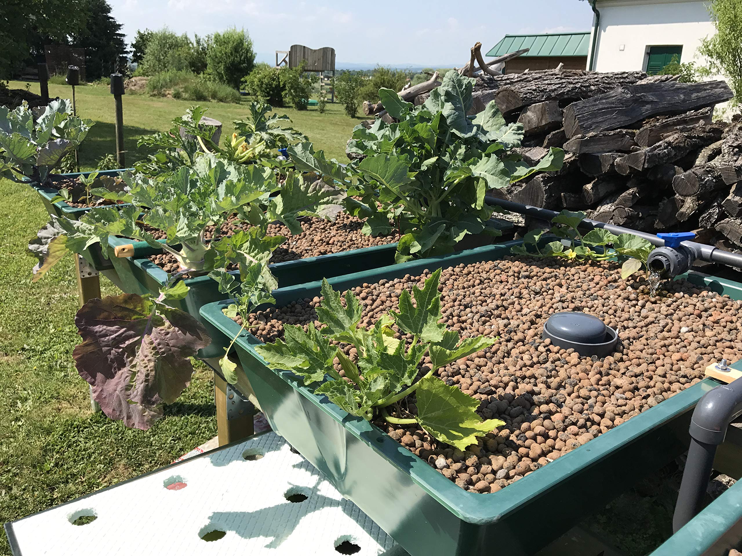 Aquaponic Hydroponic Grow Beds Aquaponics System Overview Types,
