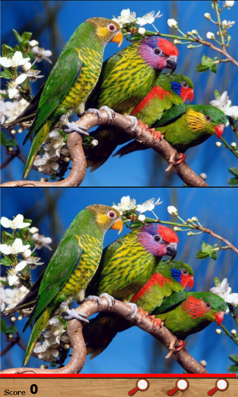 Find it HD (No Ads): Find the Difference:Amazon.com:Appstore for Android