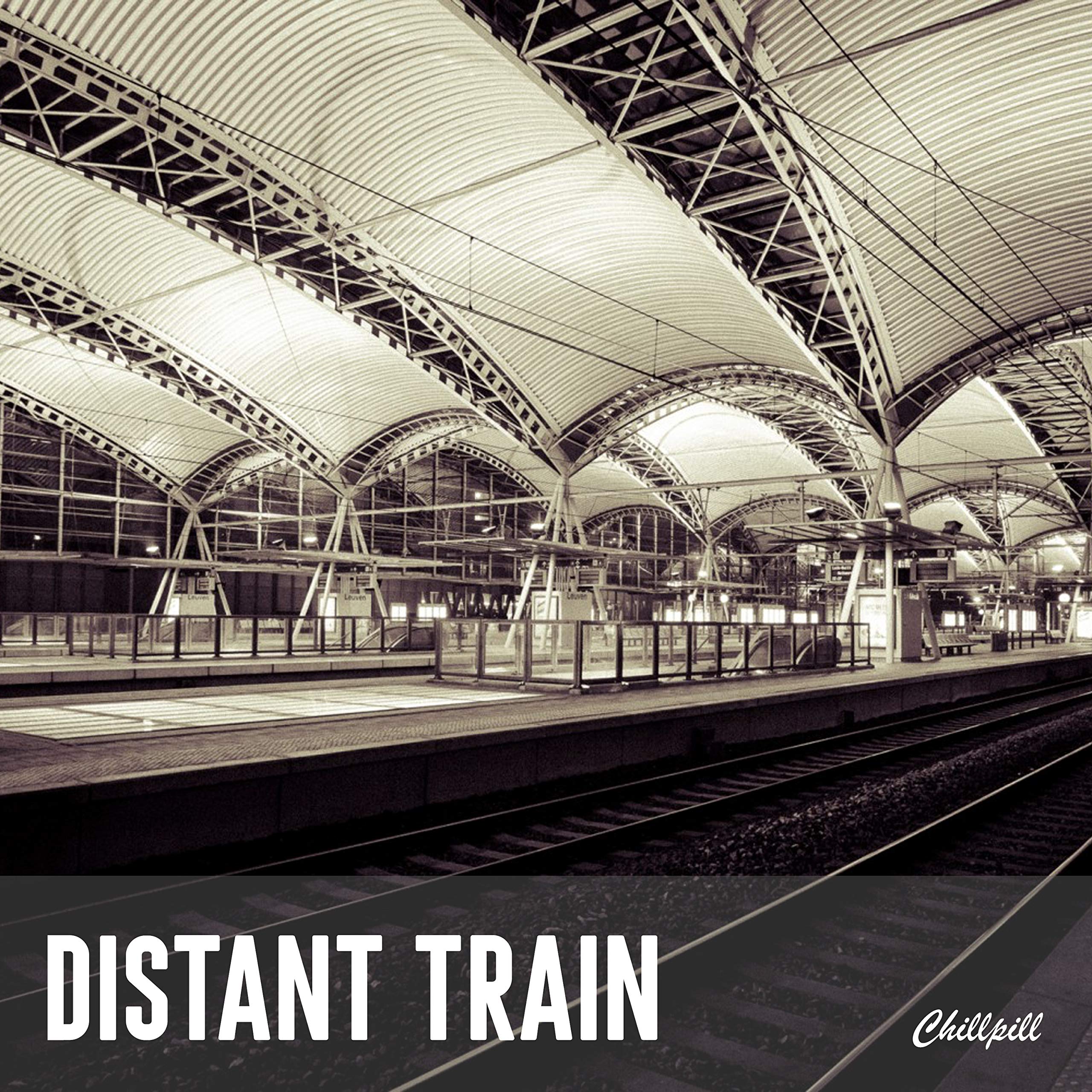 Soft Cricket Sounds song by Chillpill from Nighttime Crickets on Amazon ...