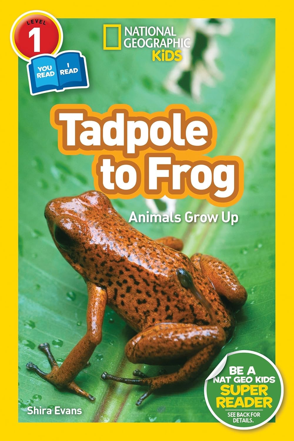 Amazon.com: National Geographic Readers: Tadpole to Frog (L1/Coreader ...