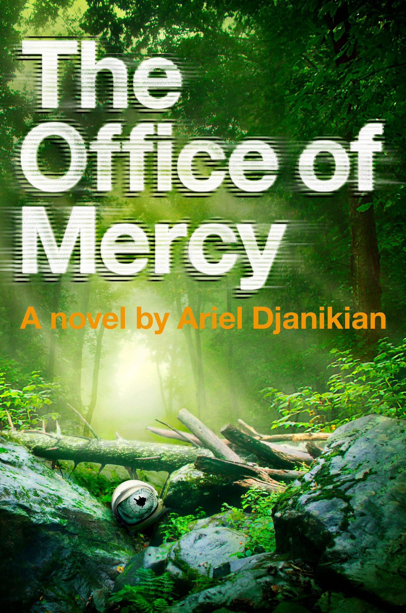 The Office of Mercy: A Novel: Djanikian, Ariel: 9780670025862: Amazon ...