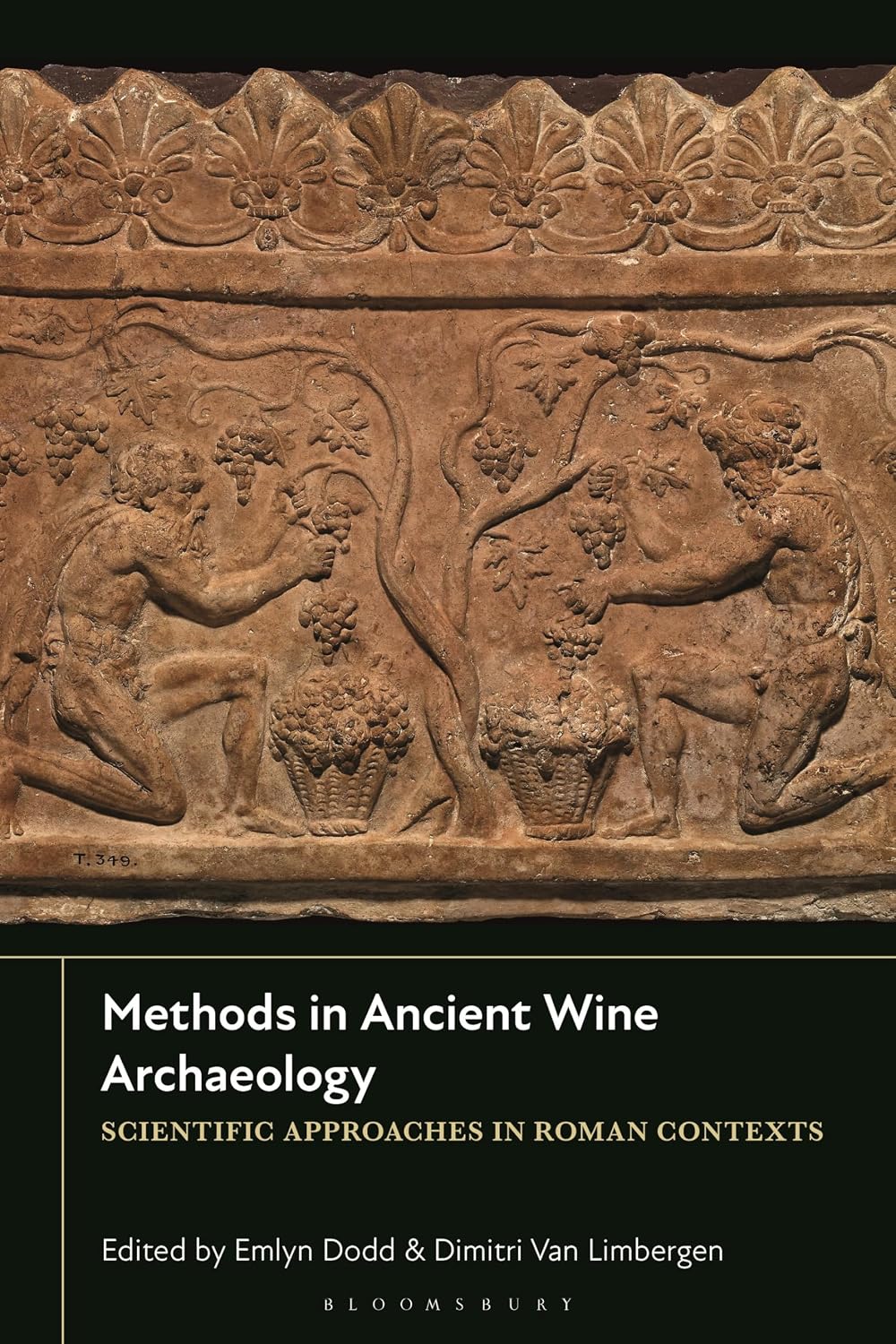 Amazon.com: Methods in Ancient Wine Archaeology: Scientific Approaches ...
