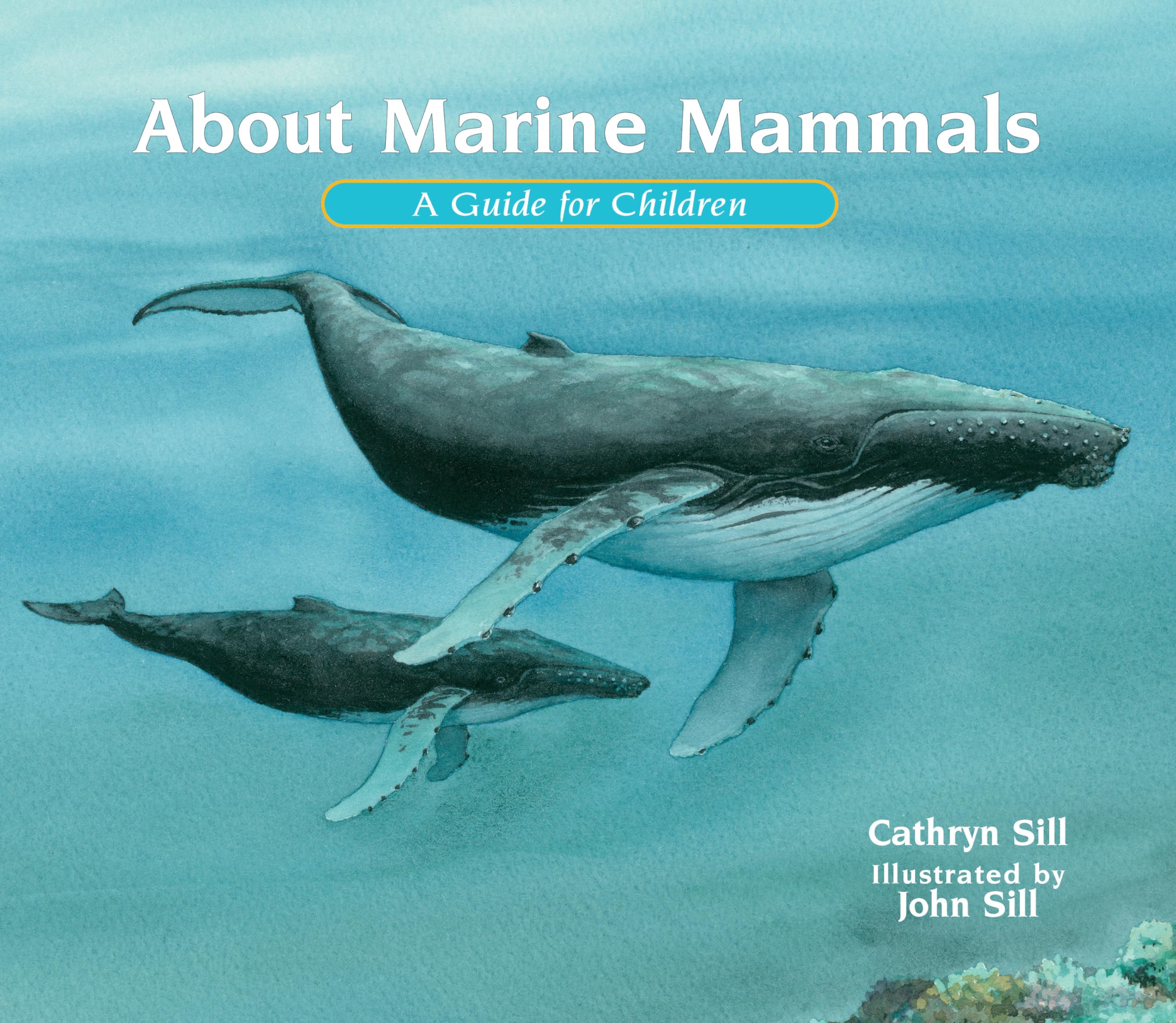 About Marine Mammals: A Guide for Children: Sill, Cathryn, Sill, John ...