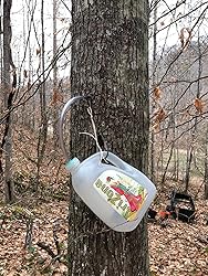 Amazon.com: Stainless Steel Taps - Maple Sap Pail Spout & Hook - Spiles ...