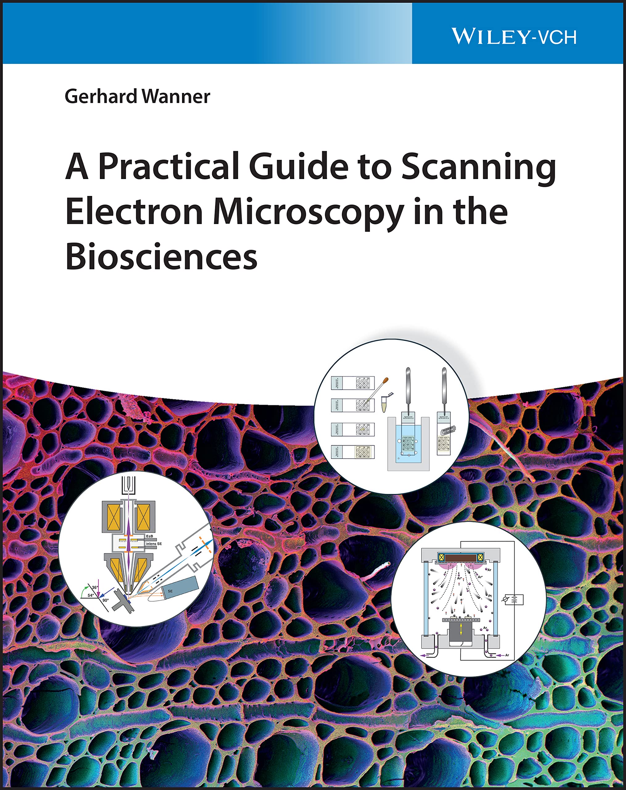 Amazon.com: A Practical Guide to Scanning Electron Microscopy in the ...