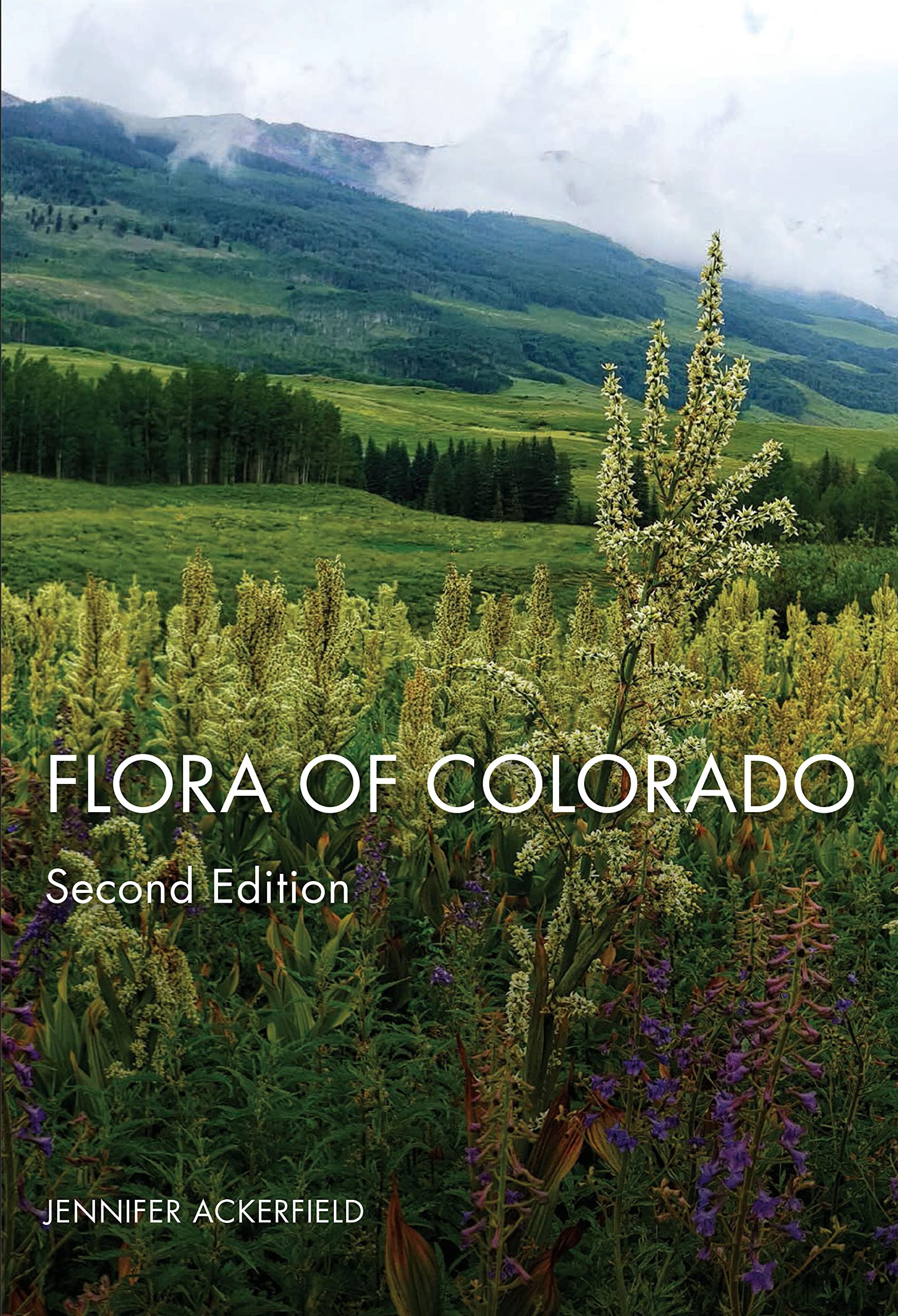 Flora of Colorado: Jennifer Ackerfield: 9781889878898: Amazon.com: Books