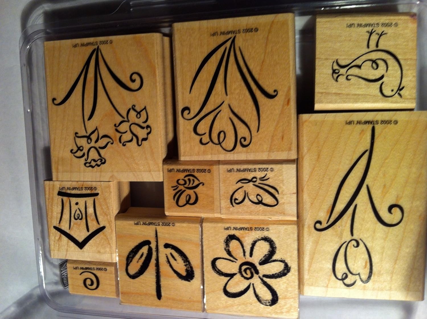 Amazon.com: Stampin' Up Simply Spring Rubber Stamp Set : Arts, Crafts ...