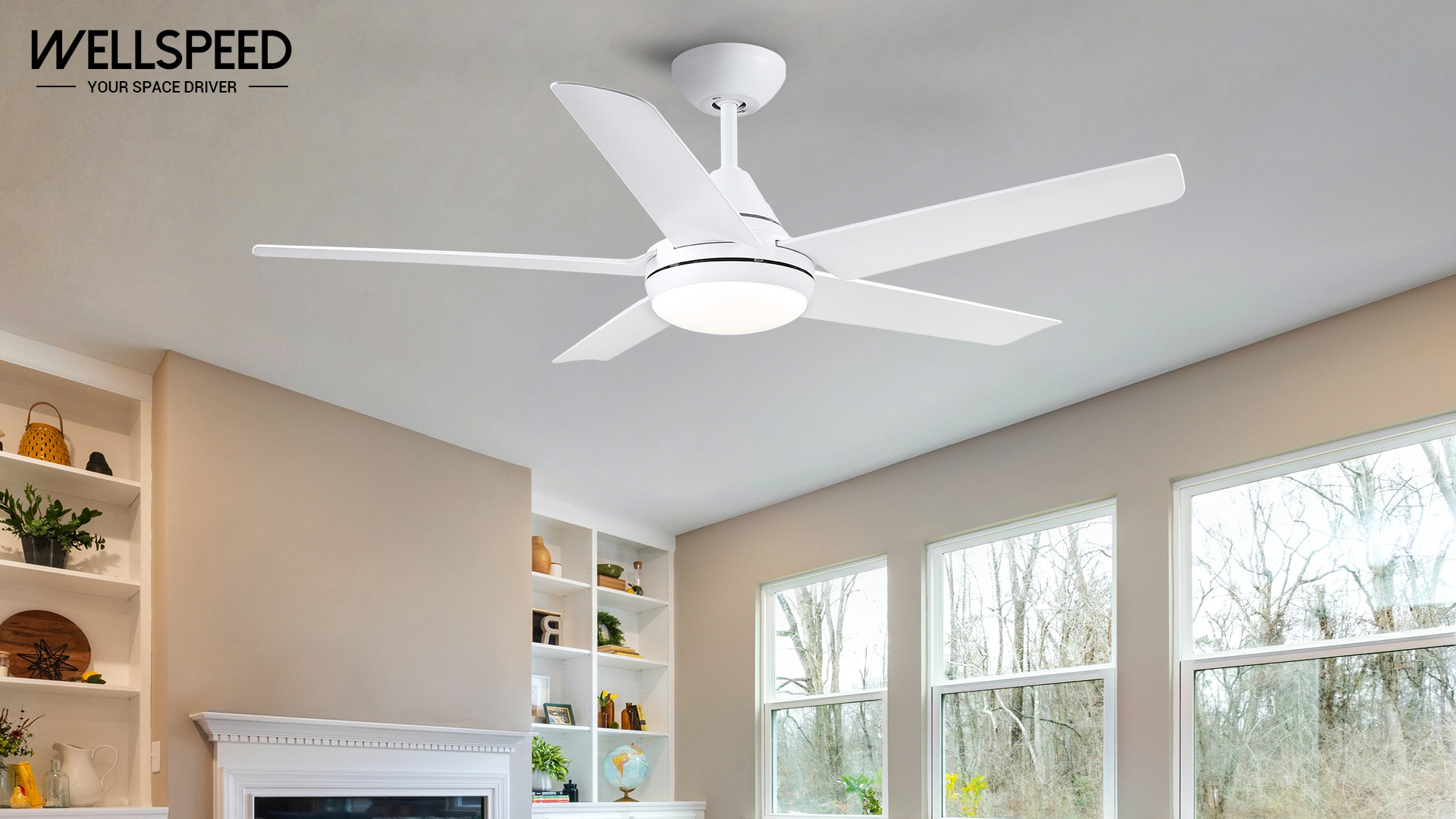 Watch White Ceiling Fan with Lights and Remote Control, 48 Inch on ...