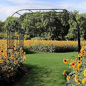 Garden Arch for Climbing Plants - Outdoor Support Arch for Roses and ...