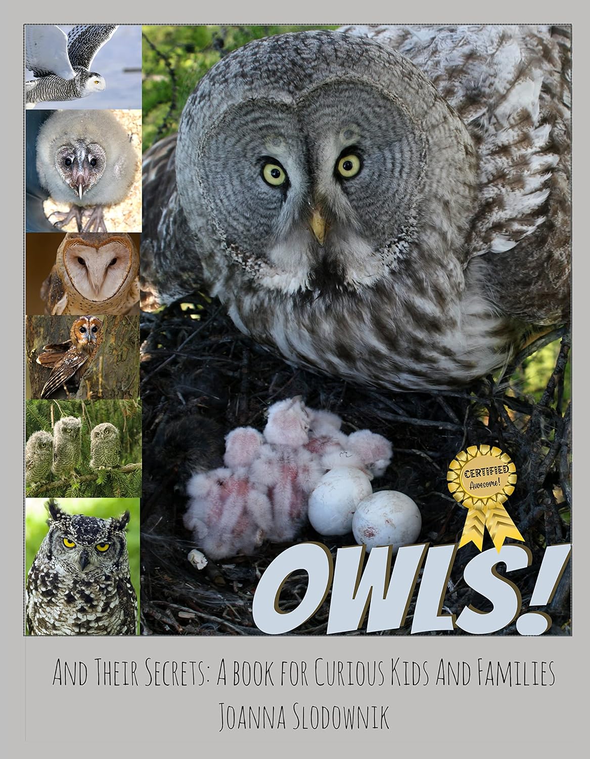 Owls! And Their Secrets: A Book for Curious Kids and Families (Bird ...