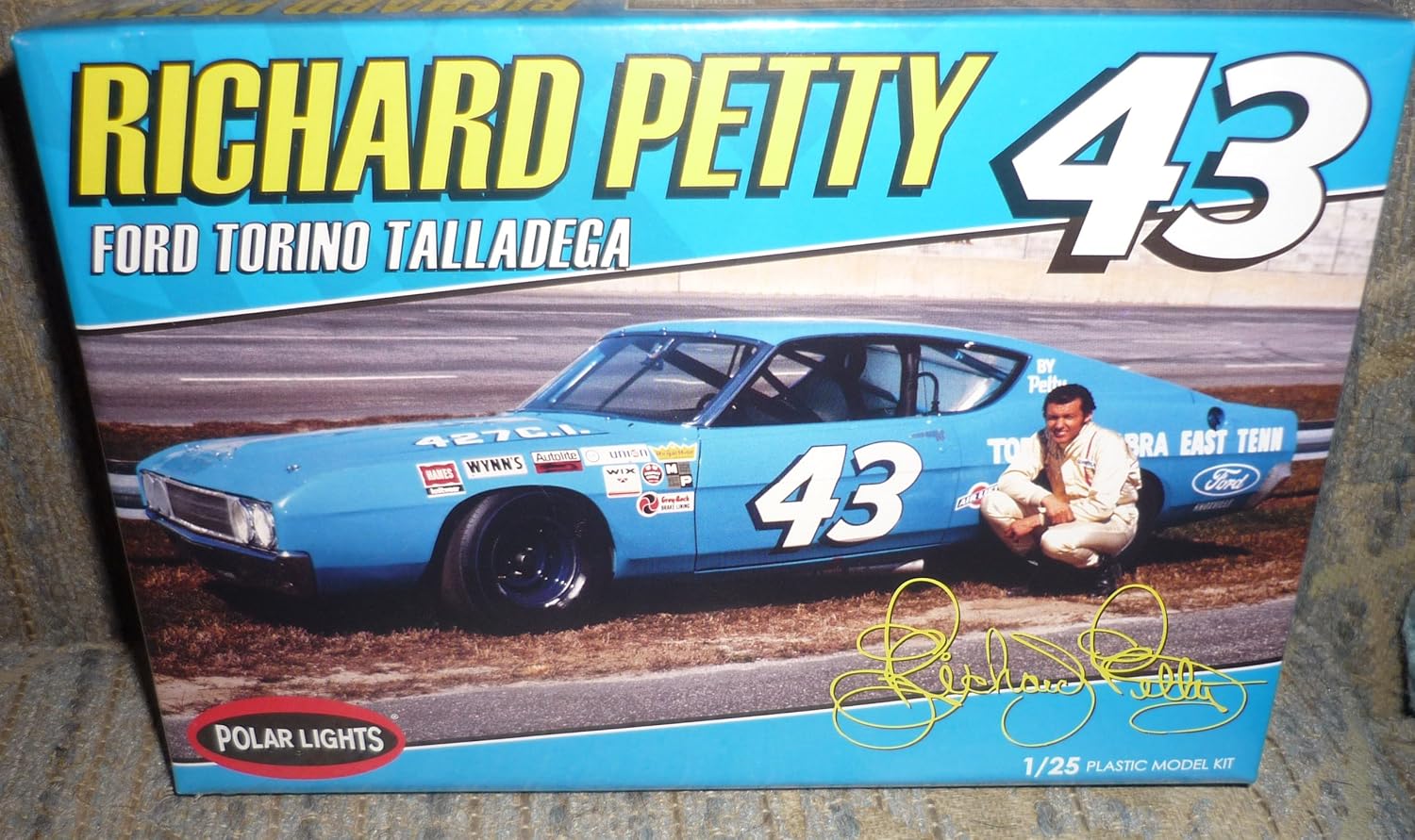 Amazon.com: Polar Lights POL896/12 Richard Petty NASCAR Torino ...