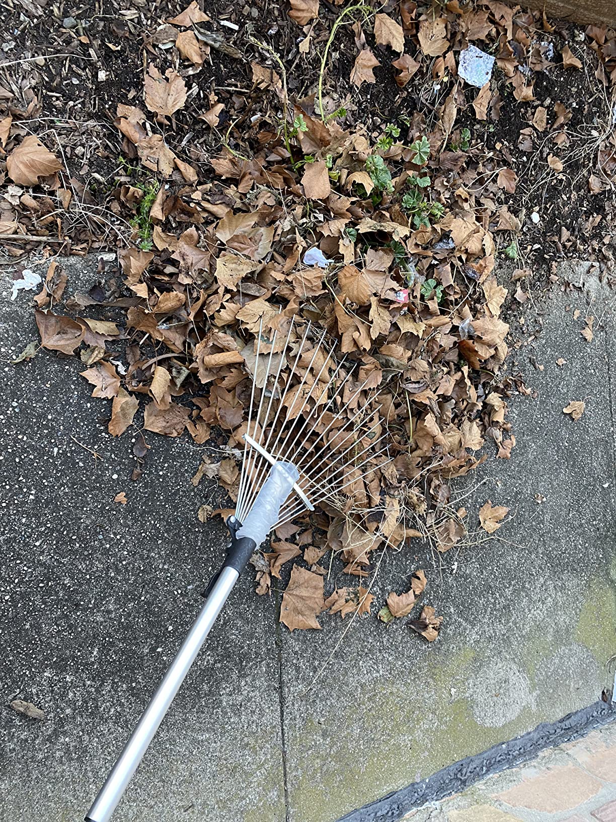 Amazon.com: POOPLE Garden Leaf Rake - 64 Inch Adjustable Folding Metal ...