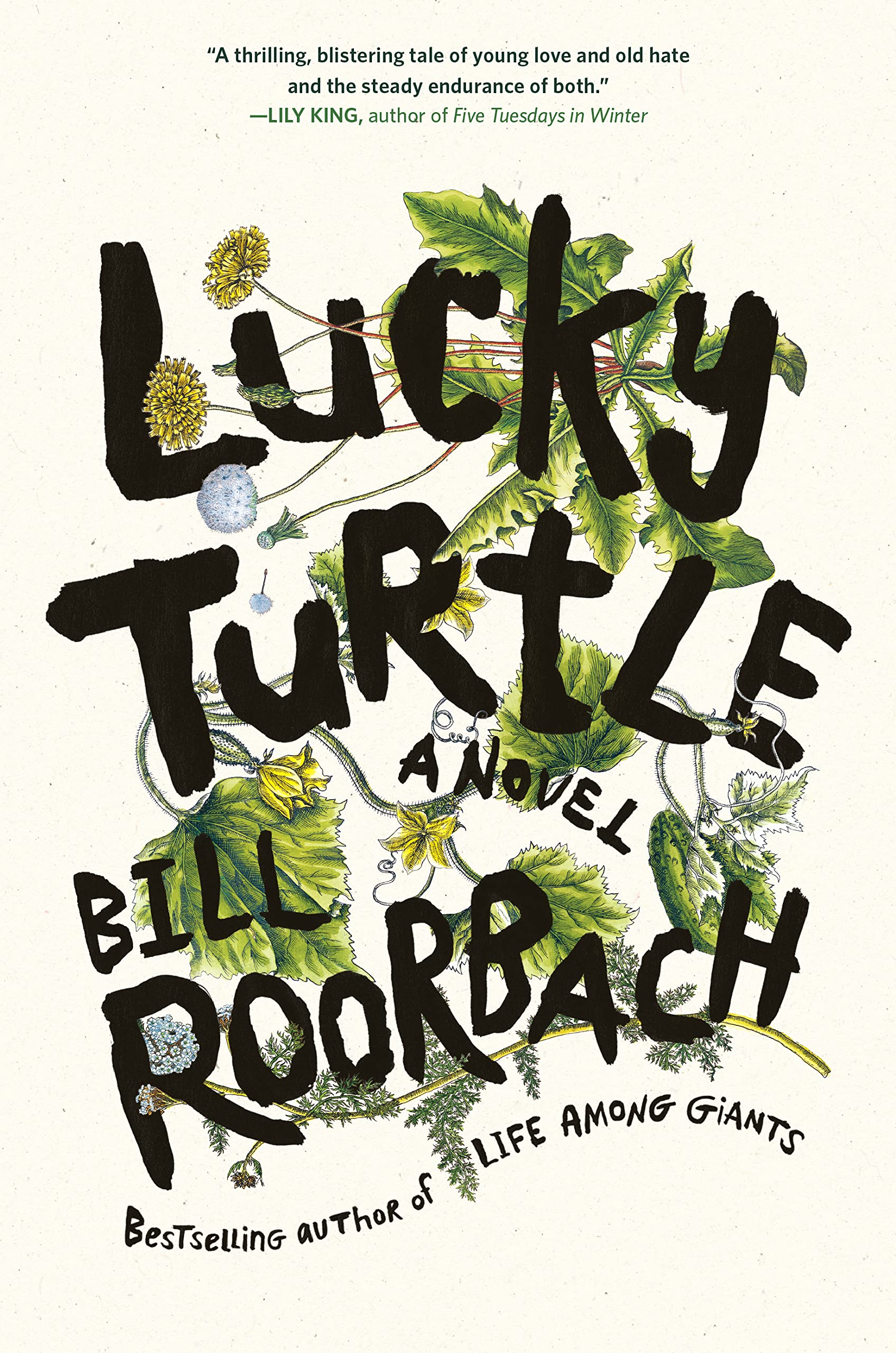 Amazon.com: Lucky Turtle: 9781643750972: Roorbach, Bill: Books