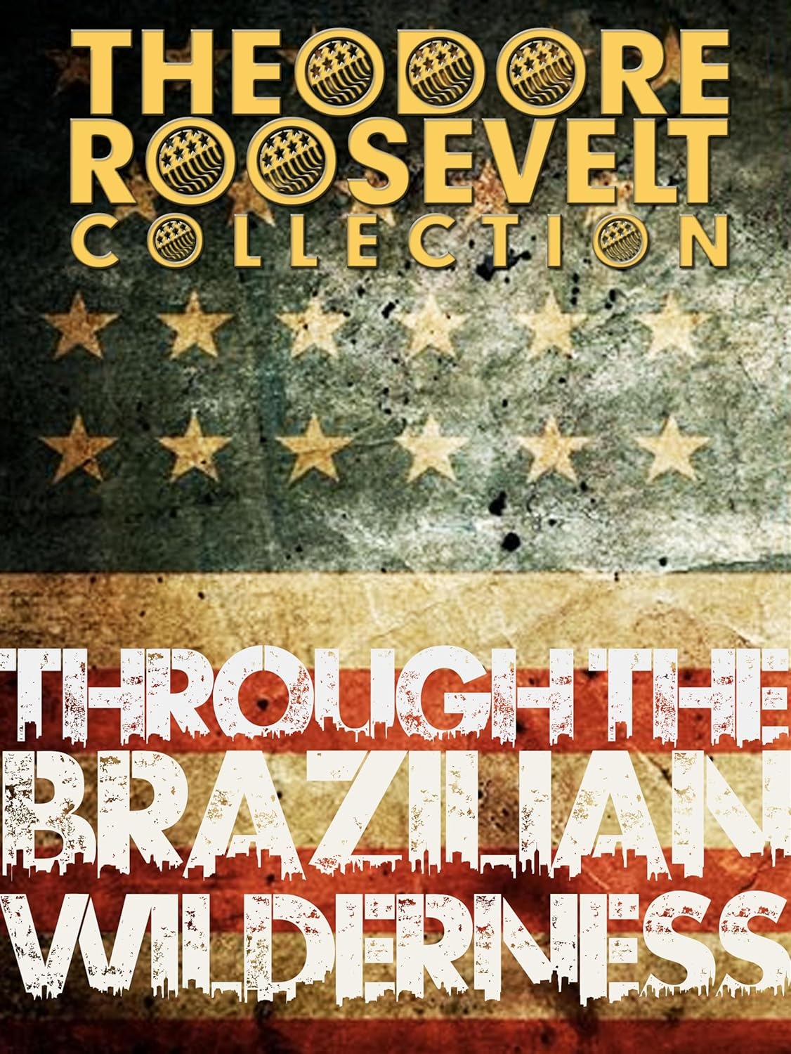 Amazon.com: Through the Brazilian Wilderness (Theodore Roosevelt ...