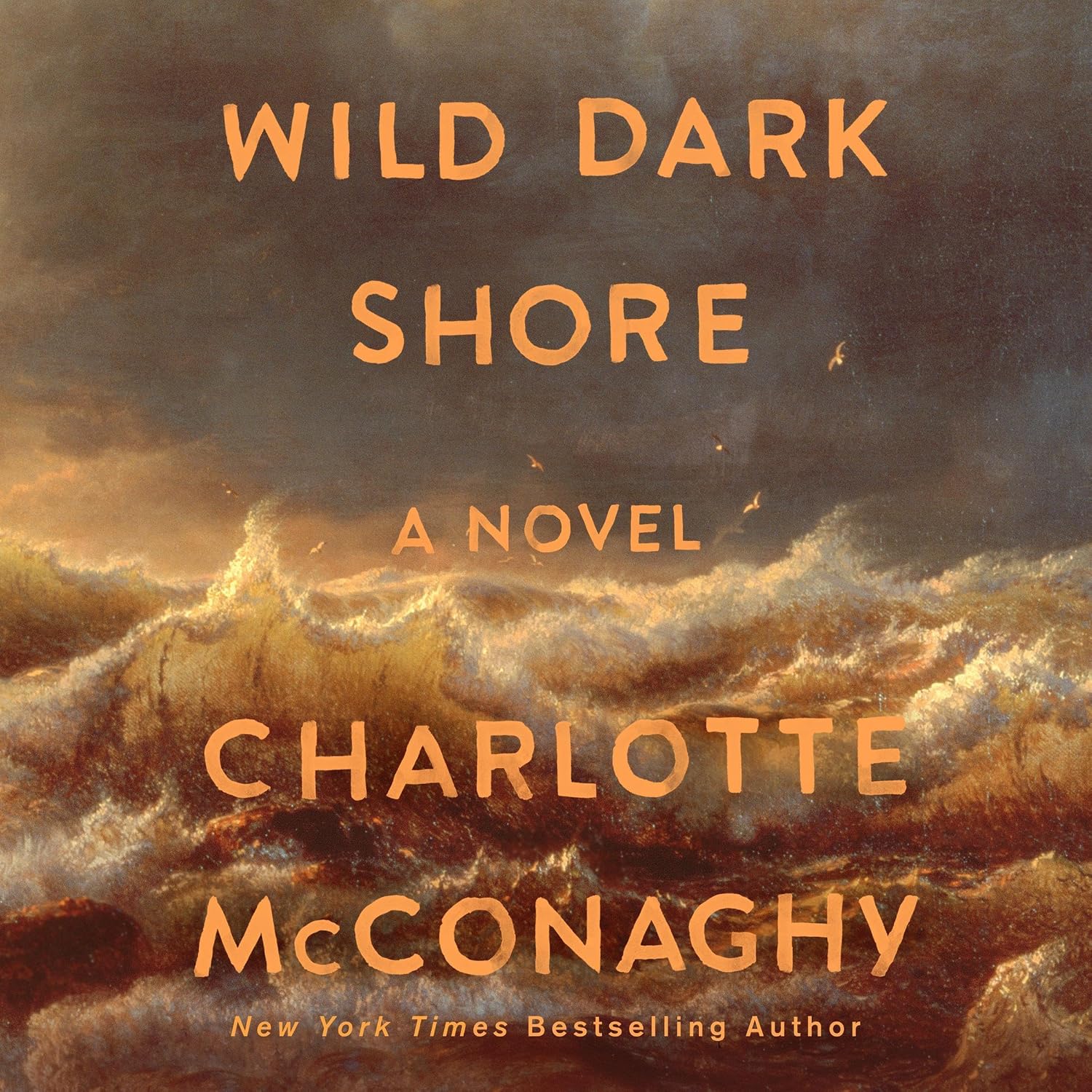 Wild Dark Shore: A Novel (Audible Audio Edition): Charlotte McConaghy ...