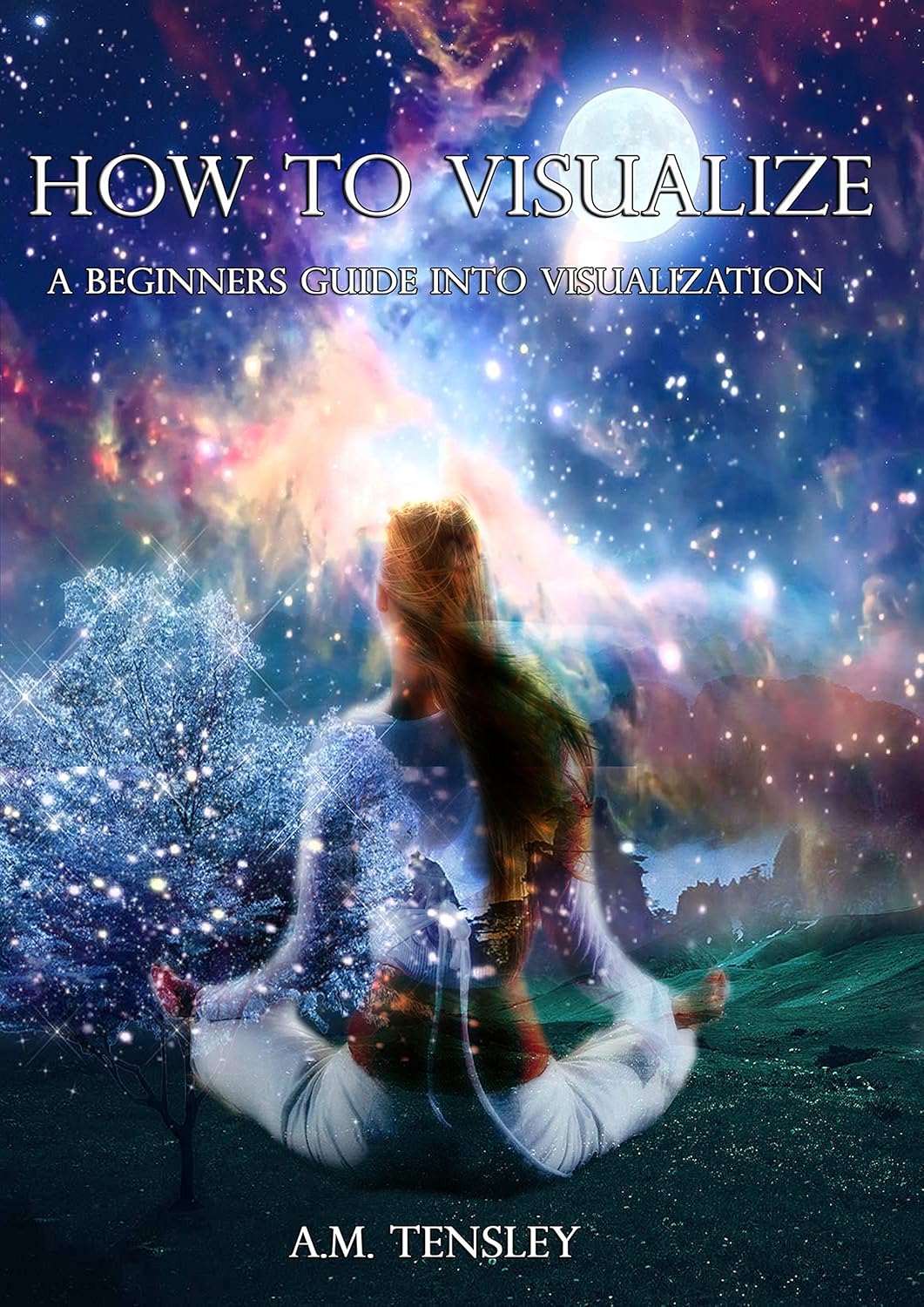 How To Visualize: A Beginners Guide Into Visualization eBook : Tensley ...