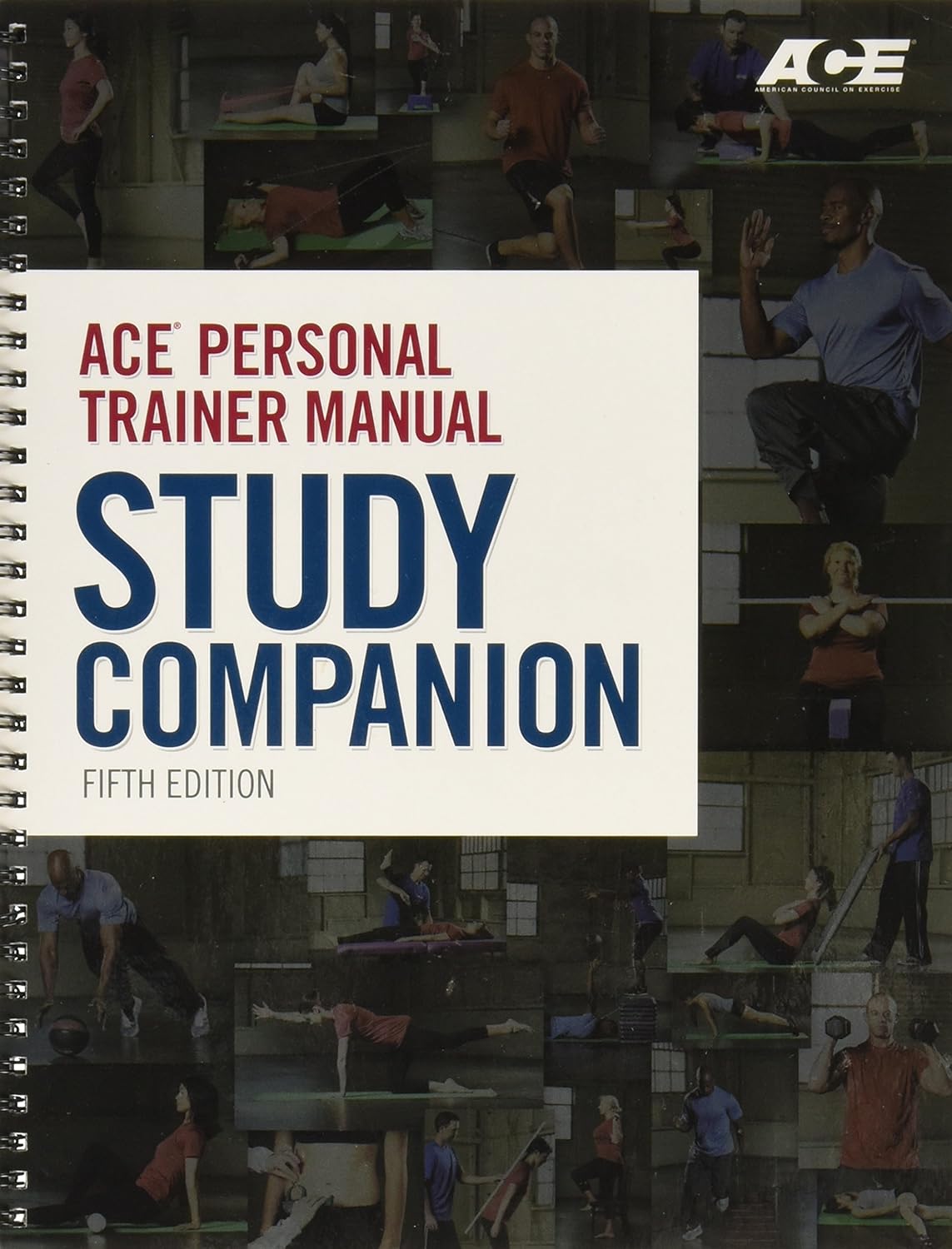 Amazon.com: ACE Personal Trainer Manual Study Companion Fifth Edition ...