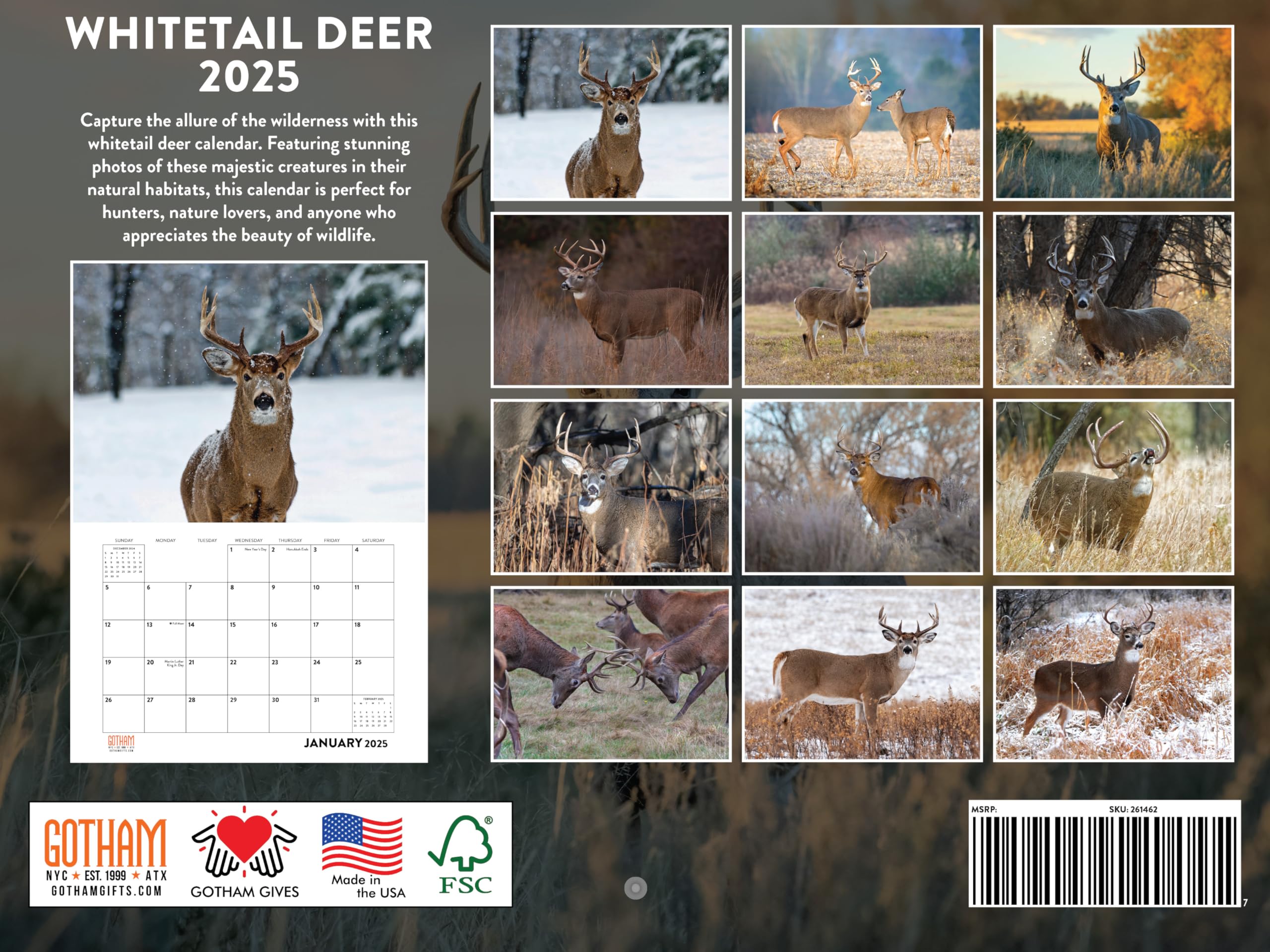 Snapklik.com : Whitetail Deer Calendar 2025 Hunting Monthly Wall ...