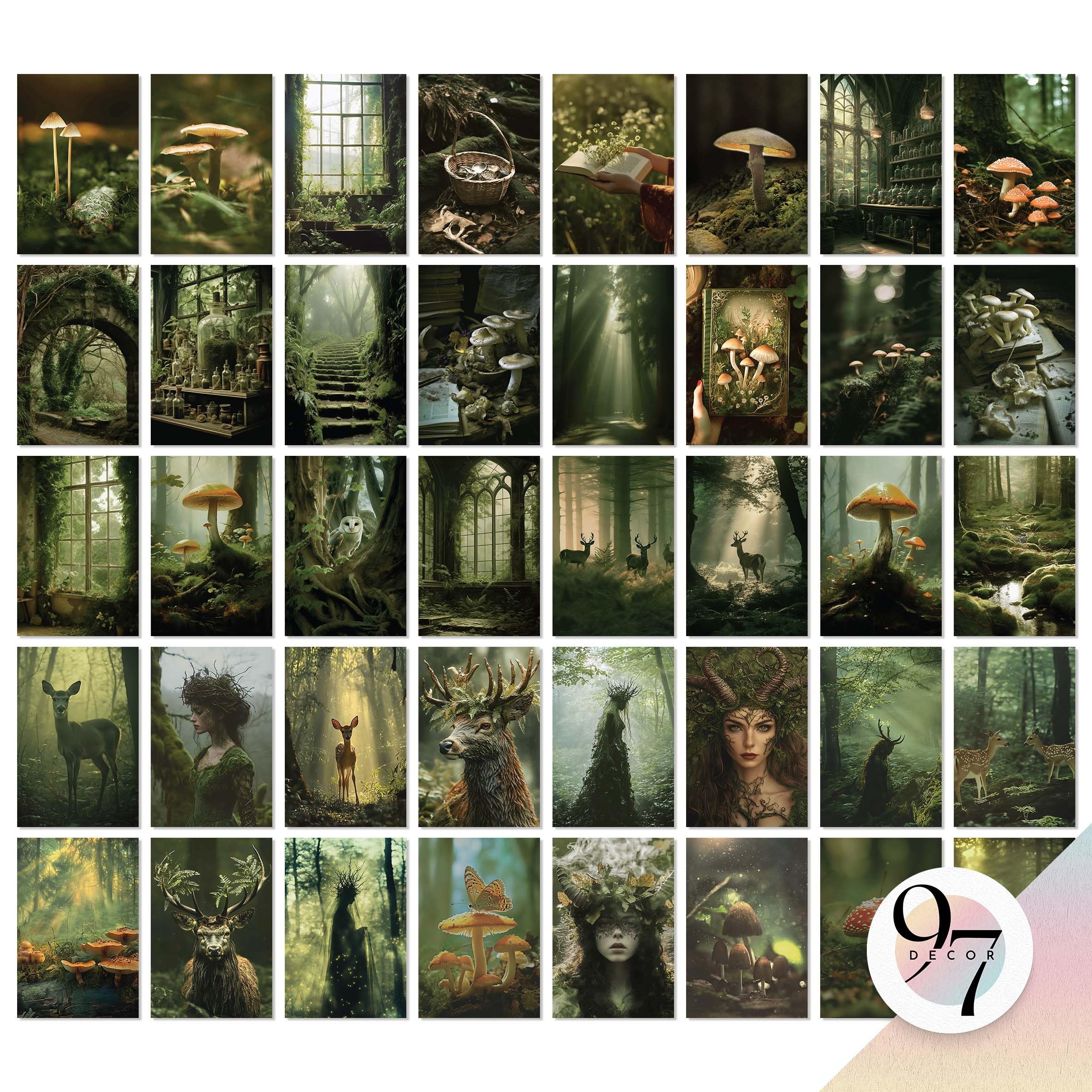 Amazon.com: 97 Decor Goblincore Room Decor - 40 Pcs Goblin Core Posters ...