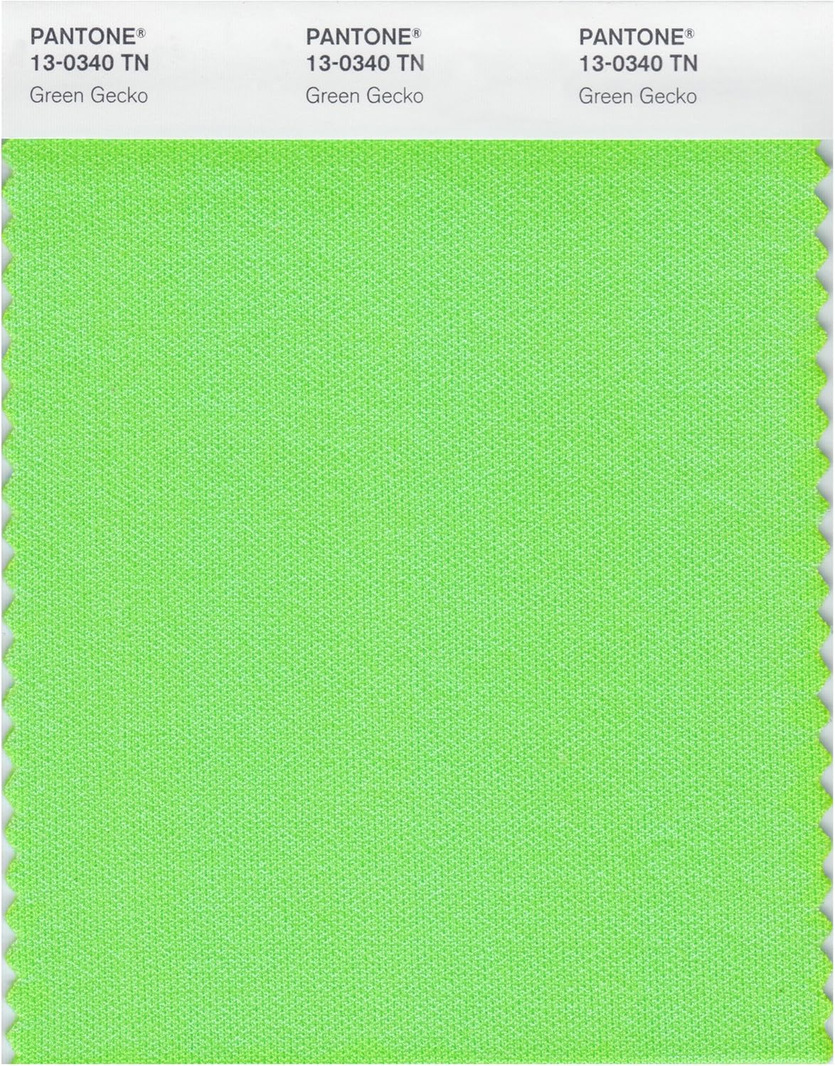 Pantone 13-0340 Nylon Brights Color Swatch Card, House Paint - Amazon ...