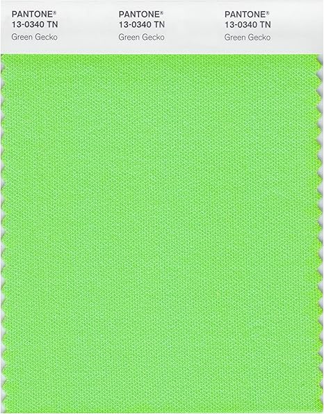 Pantone 13-0340 Nylon Brights Color Swatch Card, House Paint - Amazon ...