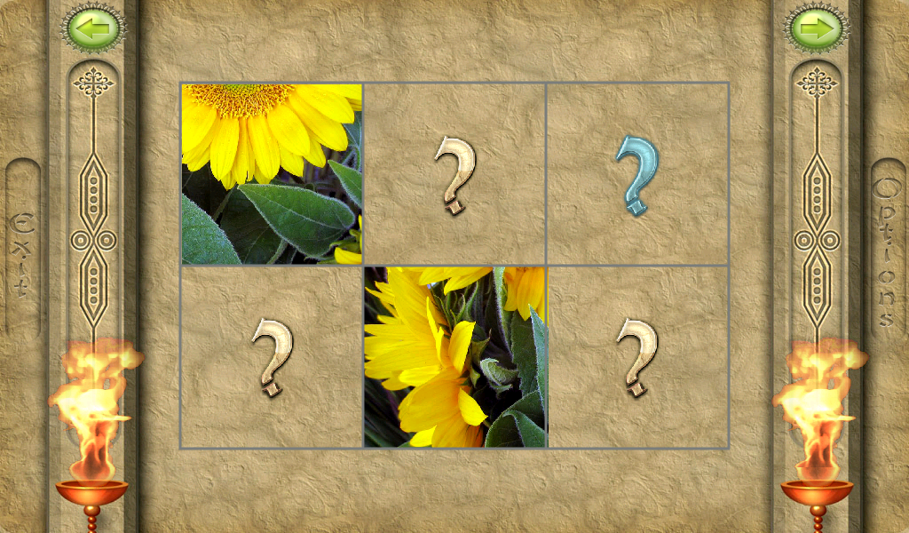 FlipPix Jigsaw - Posies - App on the Amazon Appstore