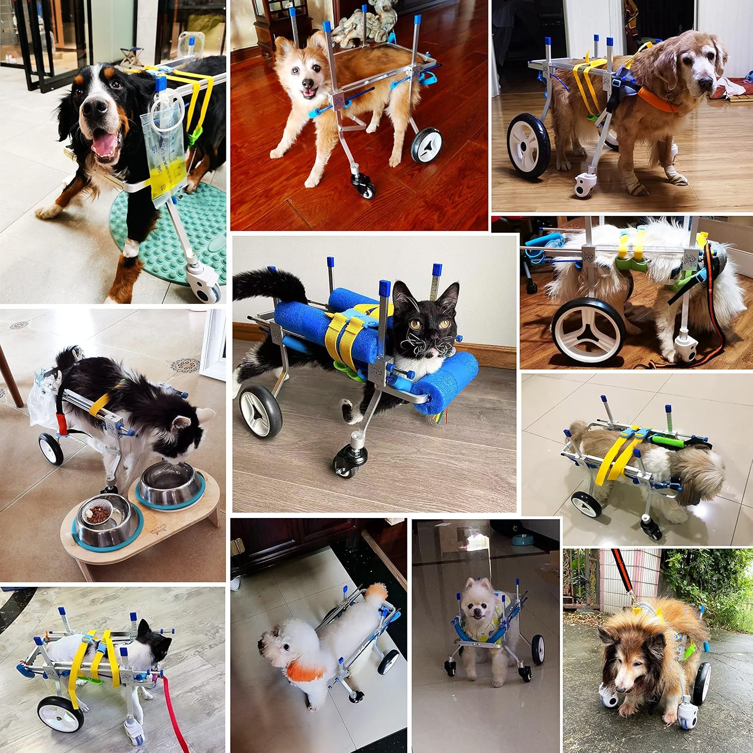 Buy HobeyHove Adjustable 4-Wheel Large Dog Cart/Wheelchair, for Front ...