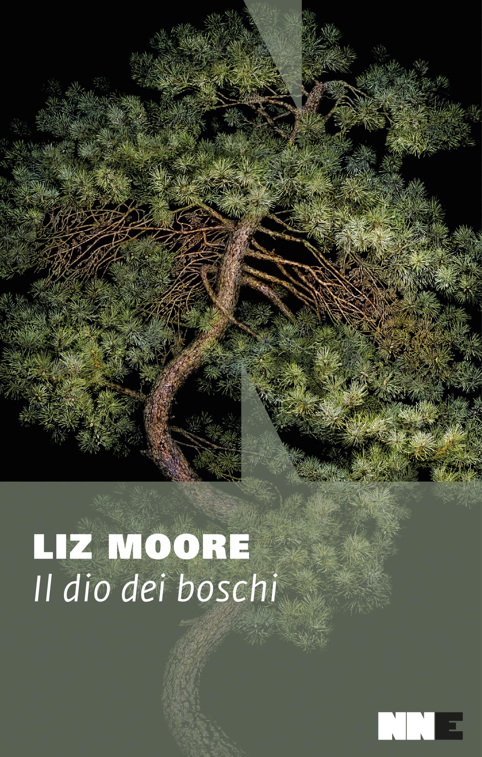 Il dio dei boschi : Moore, Liz, Arduini, Ada: Amazon.it: Libri