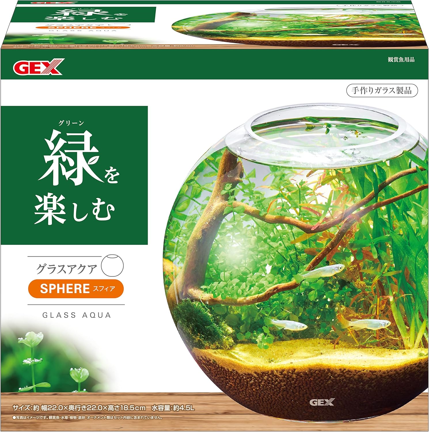 Amazon | ジェックス GEX AQUARIUM グラスアクア スフィア-N アクアリウム 小型水槽 水草 テラリウム | GEX | 水槽 通販