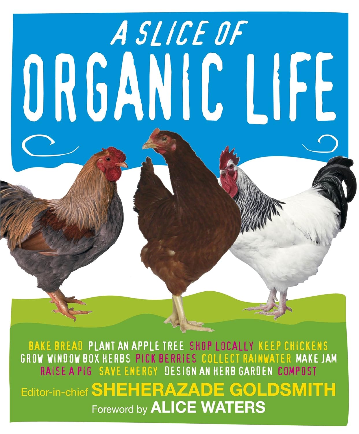Slice of Organic Life: Goldsmith, Sheherazade, Gatti, Anne, Lambert ...