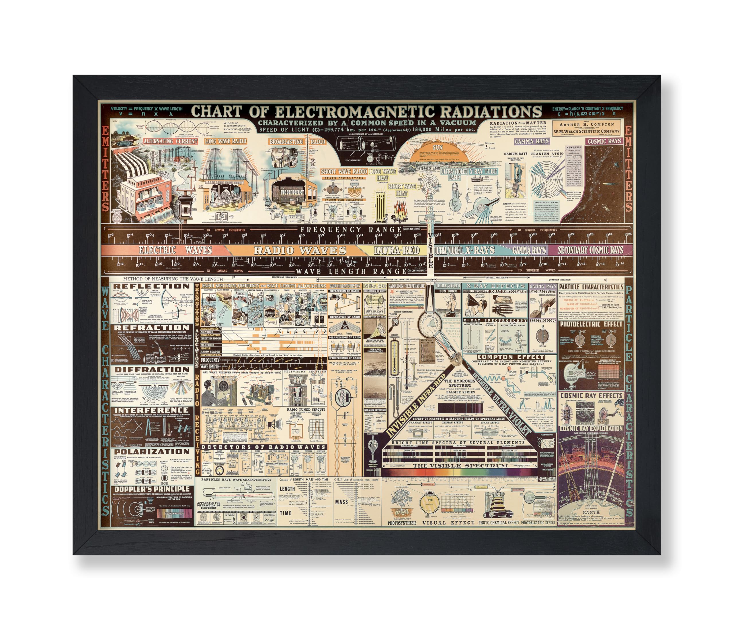 Amazon.com: Poster Master Vintage Science Poster - Chart of ...